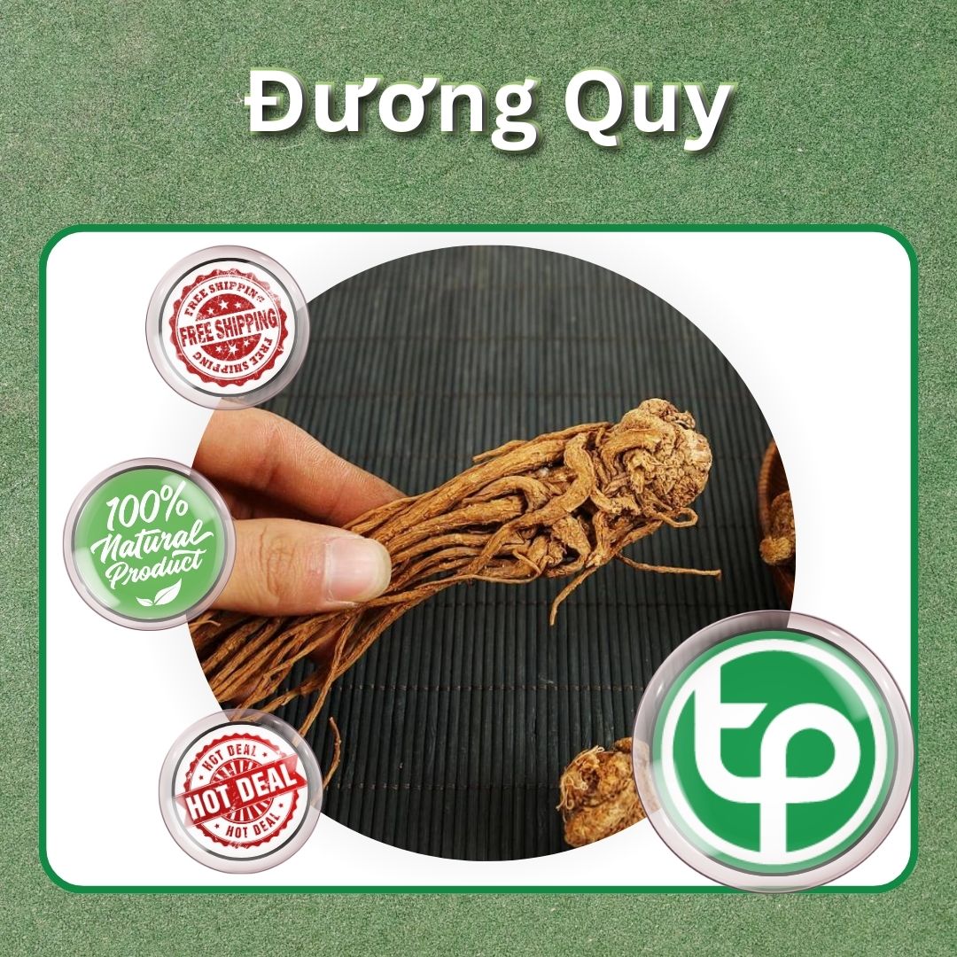 Địa Chỉ Bán Đương Quy Tại TP.HCM Uy Tín Và Chất Lượng