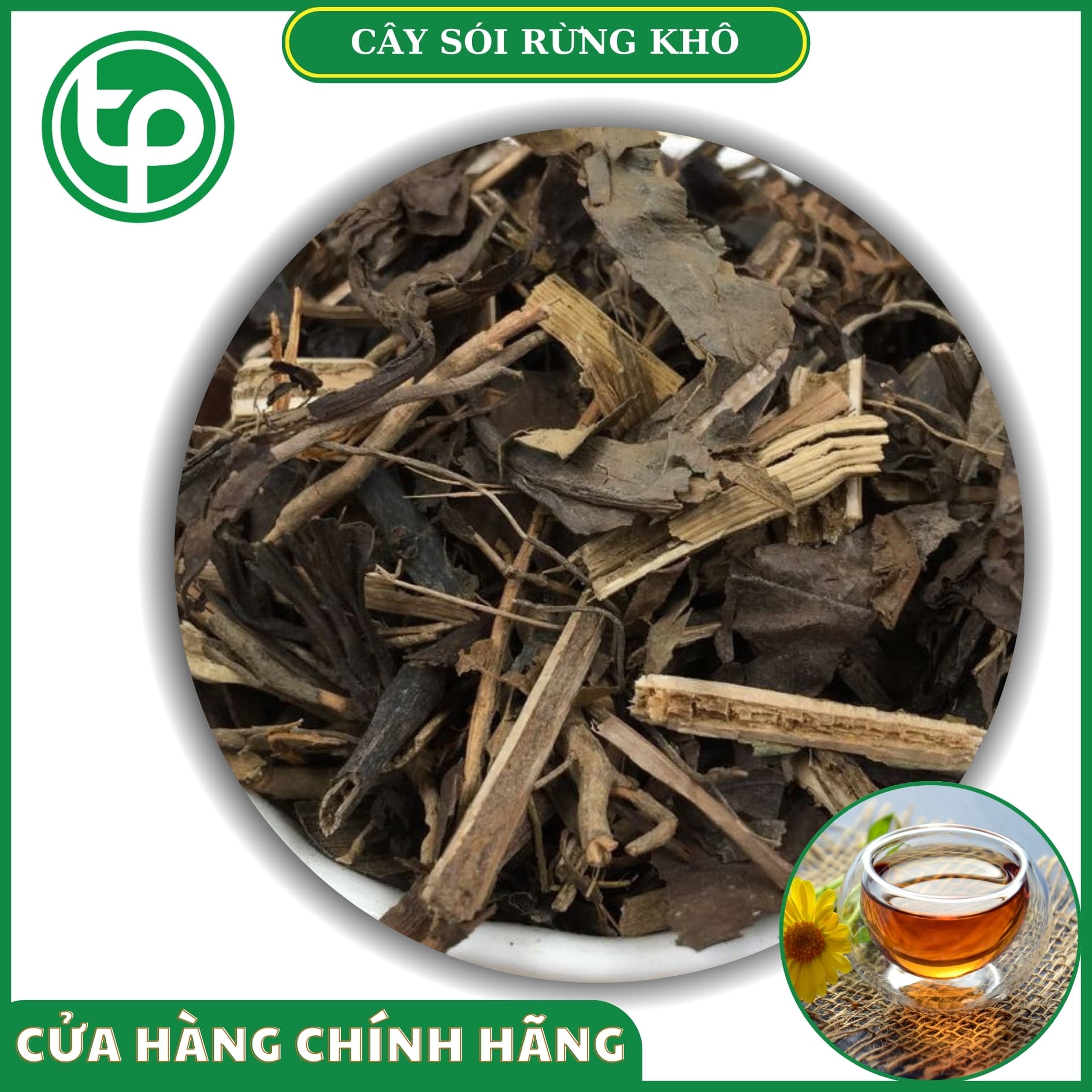 Địa Chỉ Bán Cây Sói Rừng Tại HCM