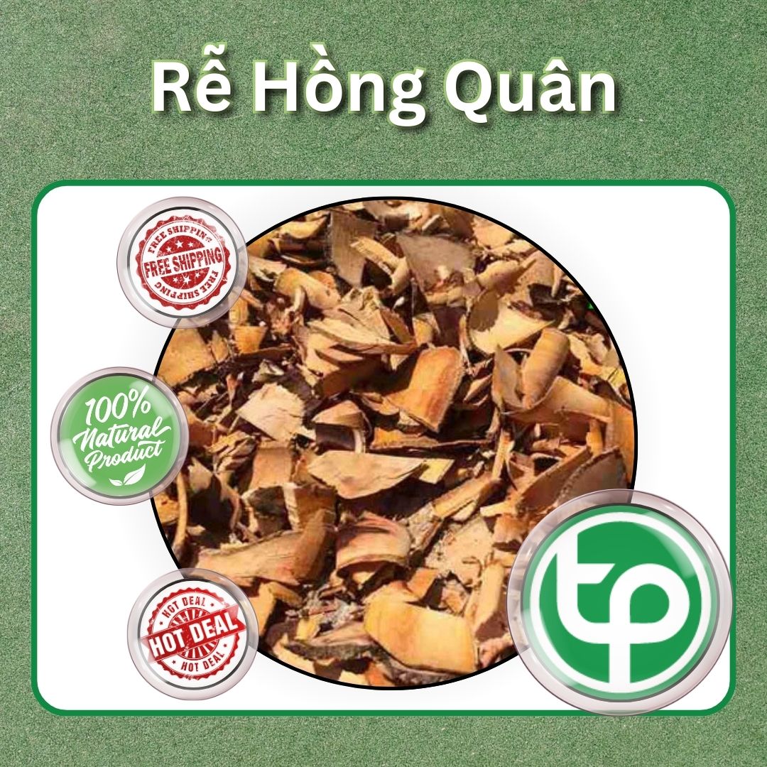 Địa Chỉ Bán Rễ Hồng Quân Tại TP.HCM